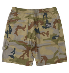 Mens Shorts: Bermuda, Walkshorts & More | DC Shoes