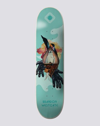 Planches de Skate - Decks & Plateaux Skateboard | Element