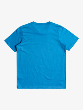 Boys T-shirts - Shop the Kids Collection | Quiksilver