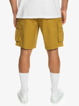 Men's Shorts - Shop Online | Quiksilver