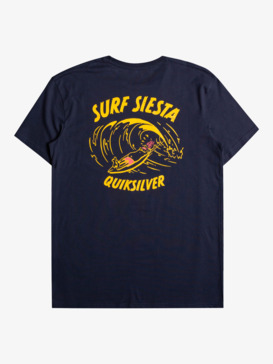 Camisetas Hombre - Comprar la Colección en Línea | Quiksilver