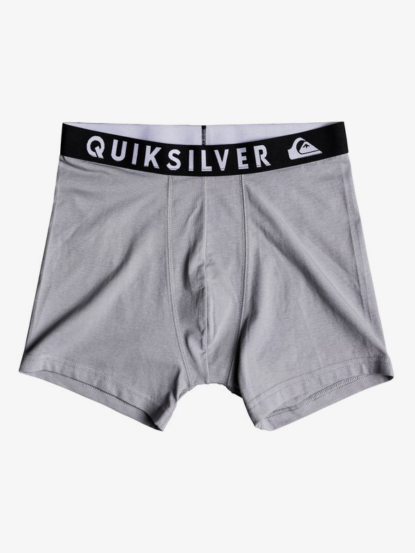 Quiksilver - Boxer Briefs 2 Pack for Men | Quiksilver